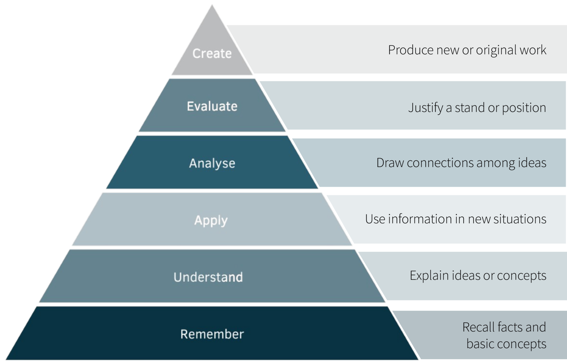 Understanding students' higher order thinking skills through the lens ...